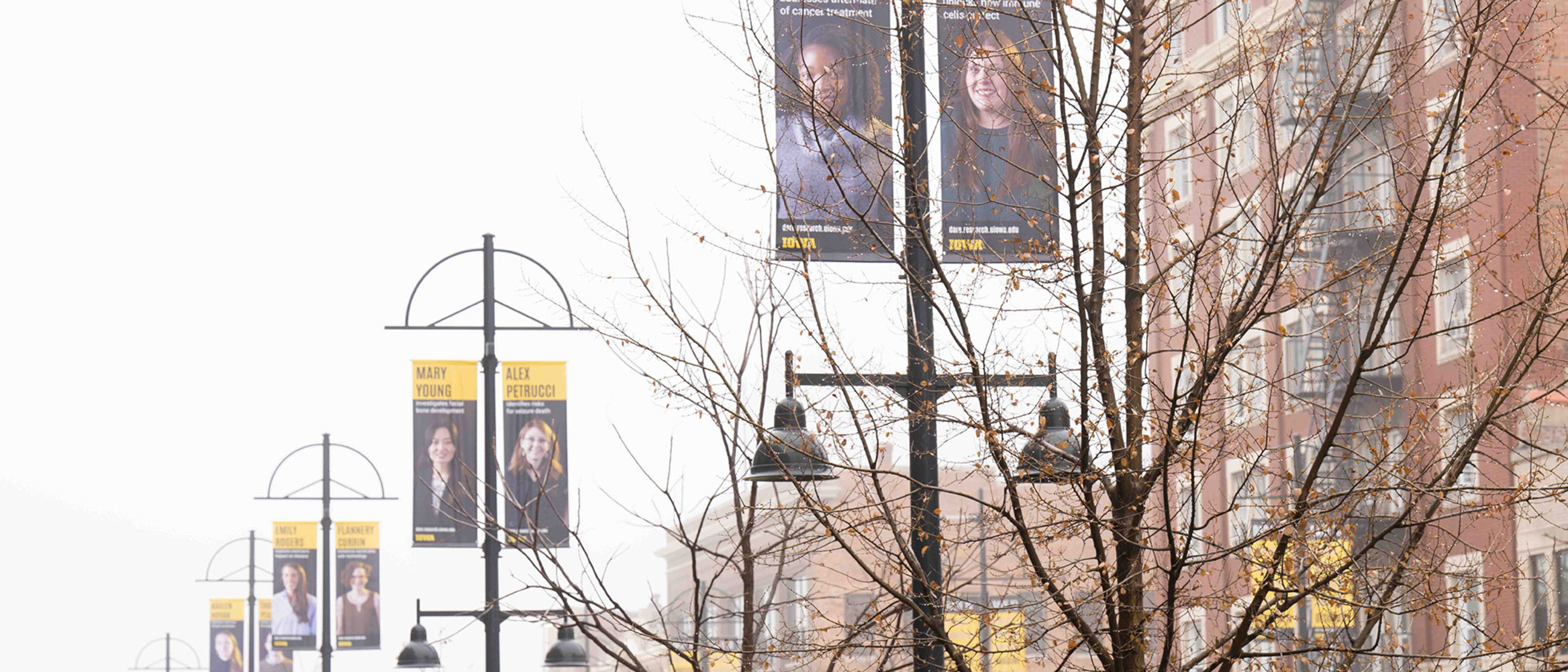 Five UI College of Education students selected for OVPR’s 'Dare to ...